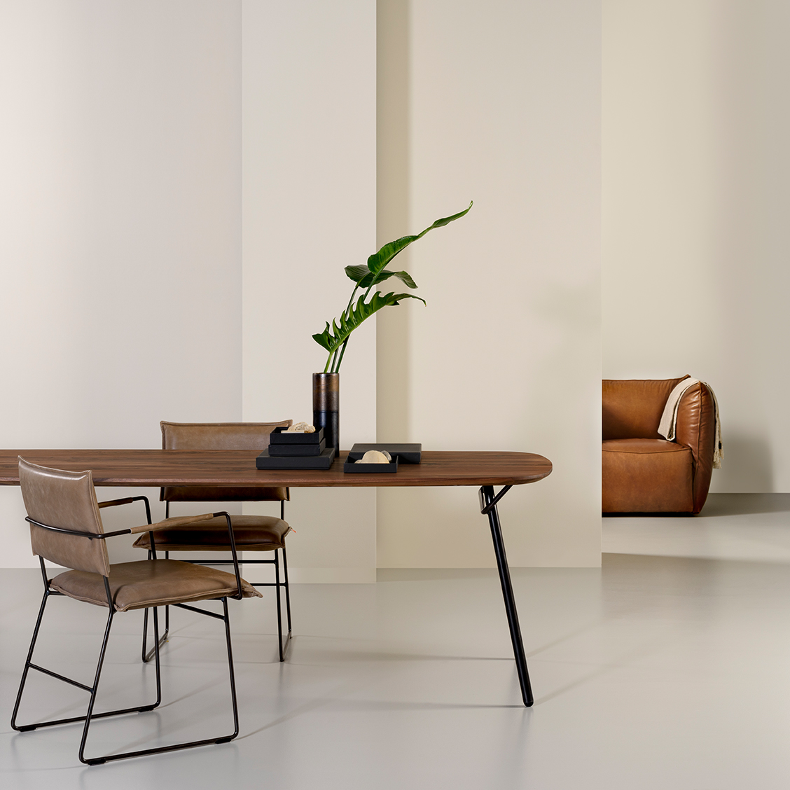 Collection | Jess Design